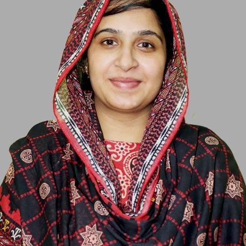 The Sahara College Narowal